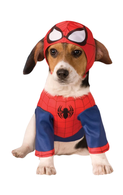 Deals 🎉 Rubies Spider-Man 🦮 Dog Costume 🌟, Buy durable Online ...